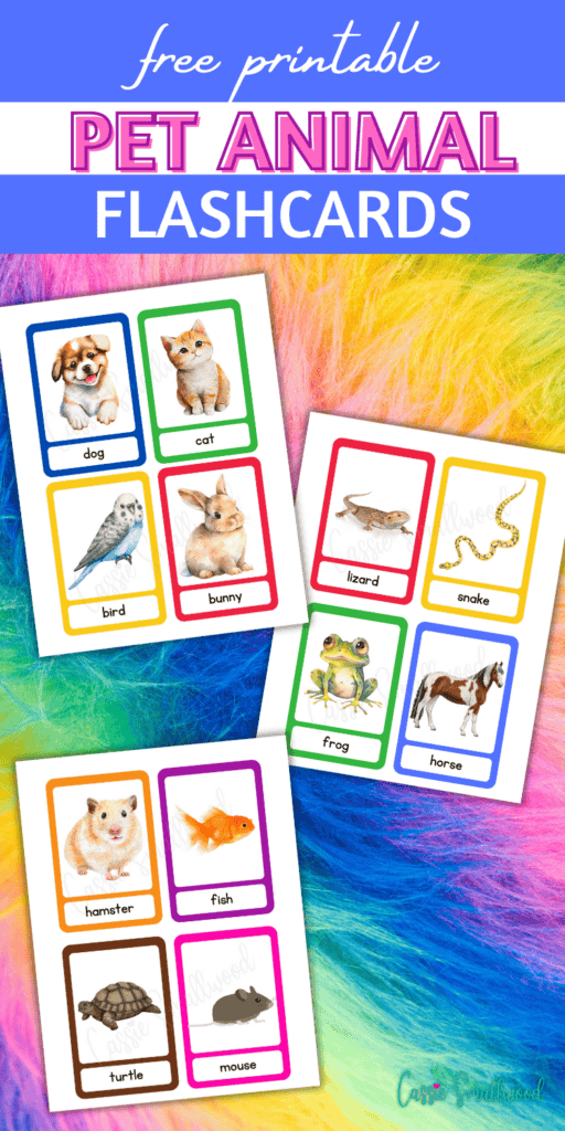 FREE Printable Numbers Flashcards To Teach Kids Counting - Cassie Smallwood