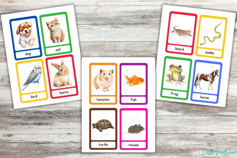 FREE Printable Animal Flash Cards For Preschool Kids - Cassie Smallwood