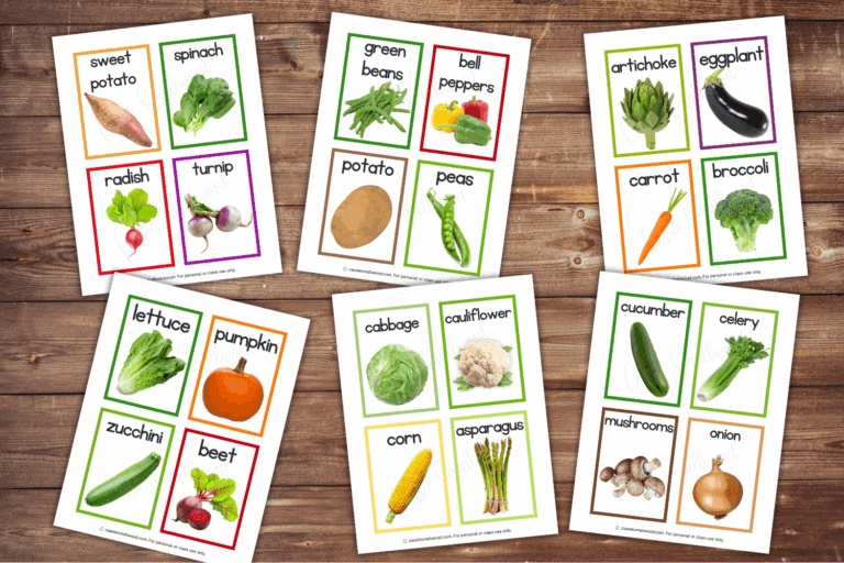 72 Vegetable Flashcards For Kids (FREE Printables) - Cassie Smallwood