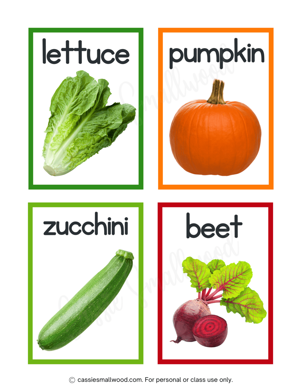realistic vegetable flash cards - Cassie Smallwood