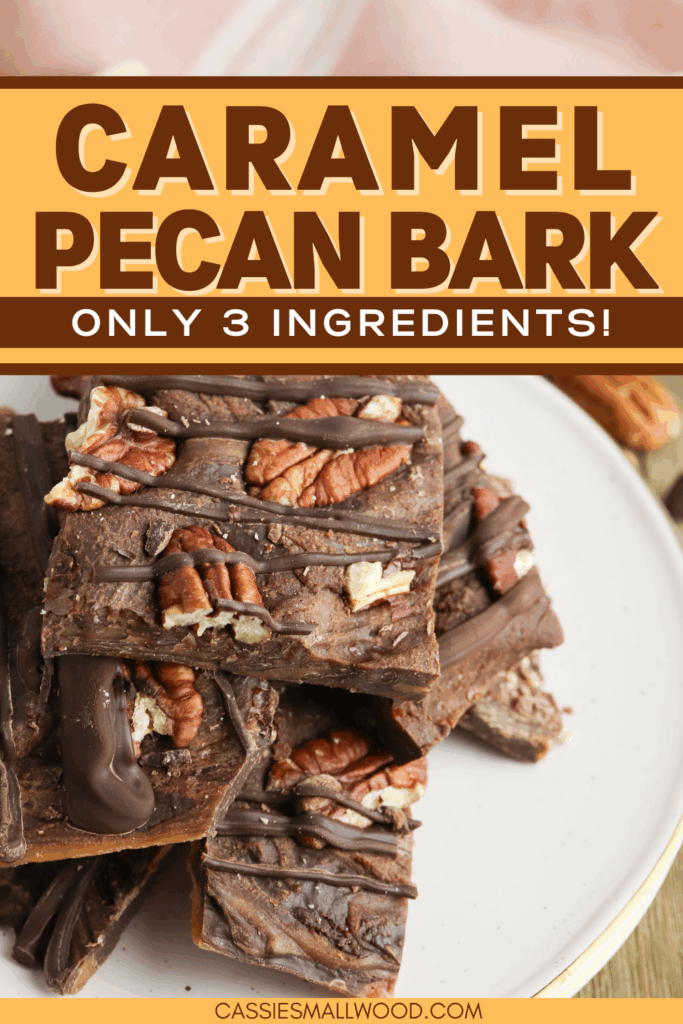 Quick & EASY 3 Ingredient Turtle Christmas Chocolate Bark Recipe ...