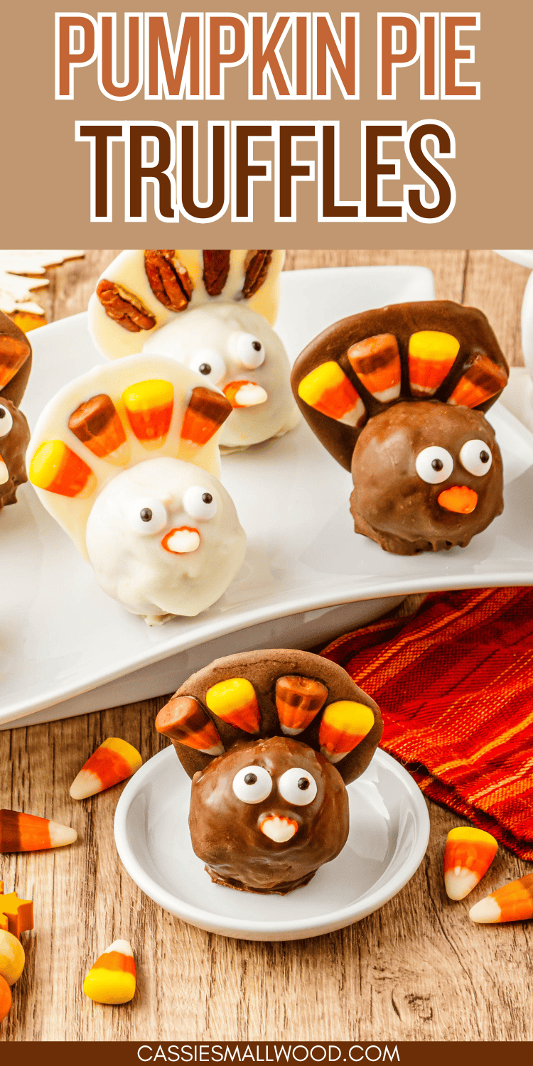 Chocolate Covered Turkey-Shaped Pumpkin Pie Bites - Cassie Smallwood