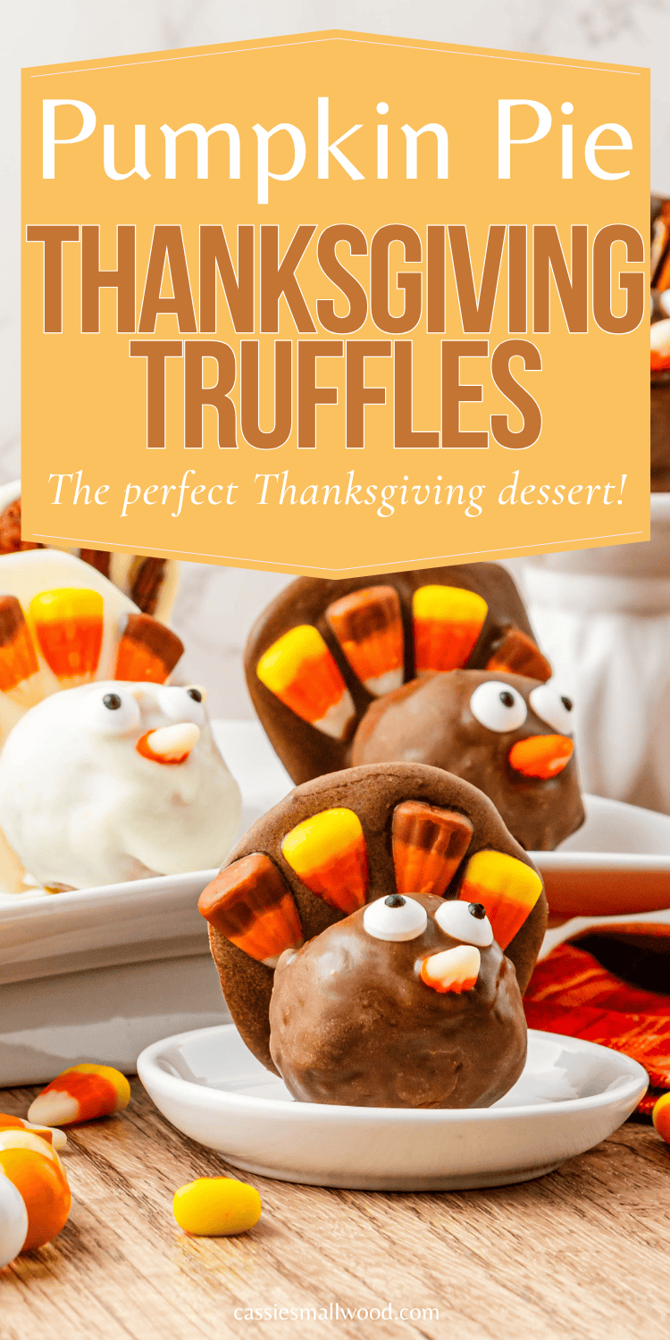 Chocolate Covered Turkey-Shaped Pumpkin Pie Bites - Cassie Smallwood