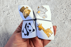 9 CUTE Cootie Catchers (FREE Printable) - Cassie Smallwood