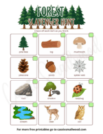 Nature Scavenger Hunt for Kids (Free Printables for Every Season ...